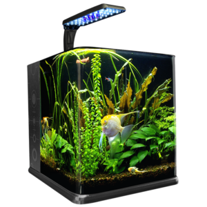 Pecera de 20 litros | Acuario Xel-ha